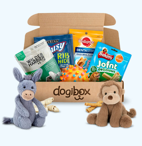 dogibox - Überraschungsbox | Offizielle Website